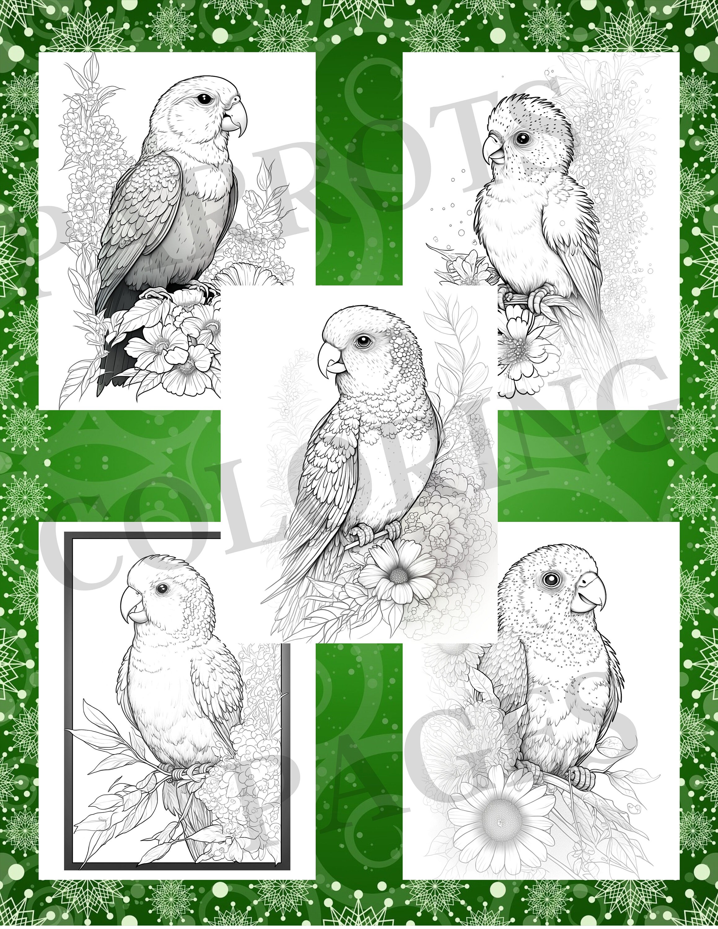 Parrots & Flowers, Grayscale Coloring Pages for Adults / 15 Printable ...