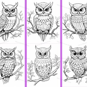 Easy Owls, Coloring Pages for Adults & Kids / 26 Printable Pages ...