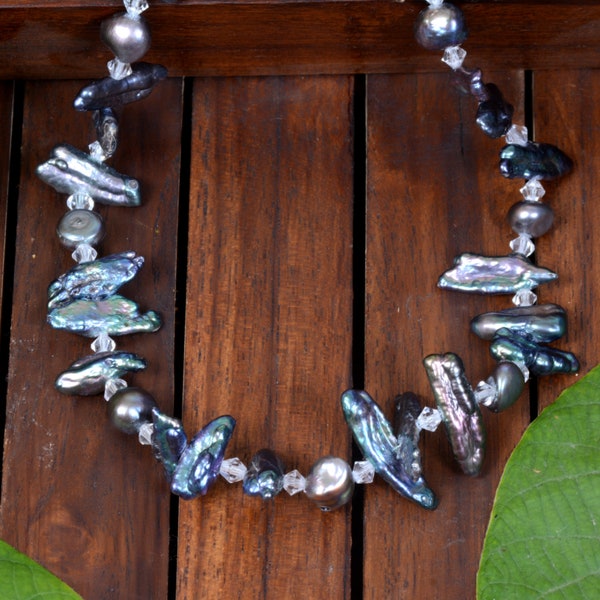 Black Shell Necklace - Etsy