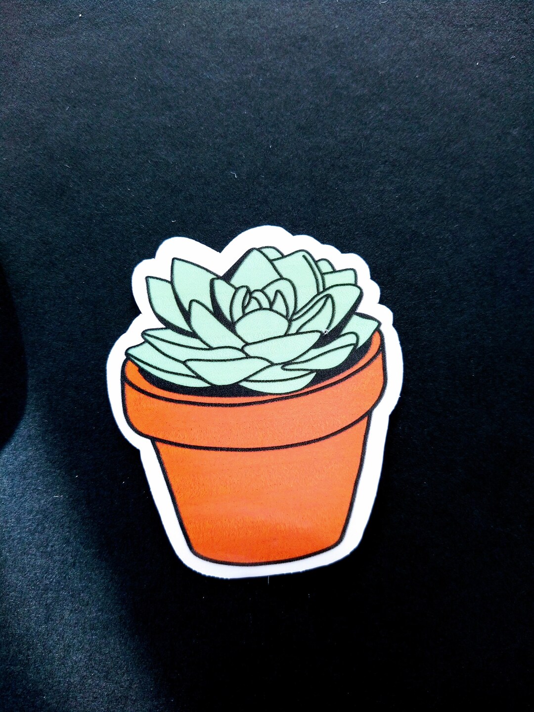 Succulent Stickers - Waterproof Vinyl Stickers - Etsy