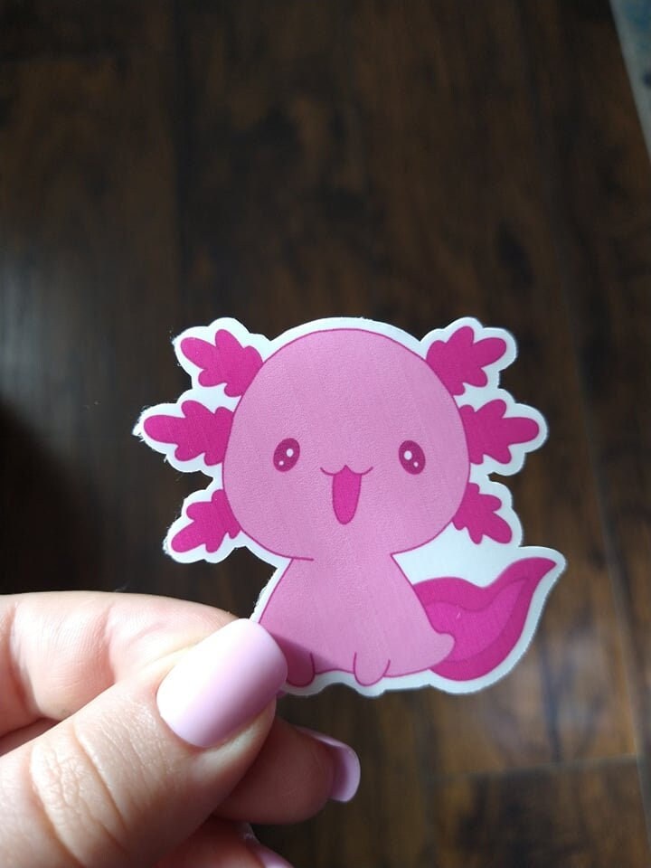 Axolotl Sticker Waterproof Vinyl Sticker - Etsy