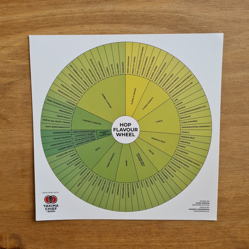 Beer Flavour Wheel Set - Etsy