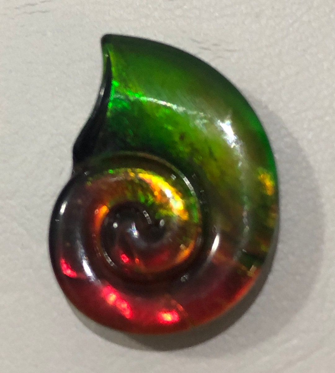 Ammolite Triplet Fossil Shape - Etsy