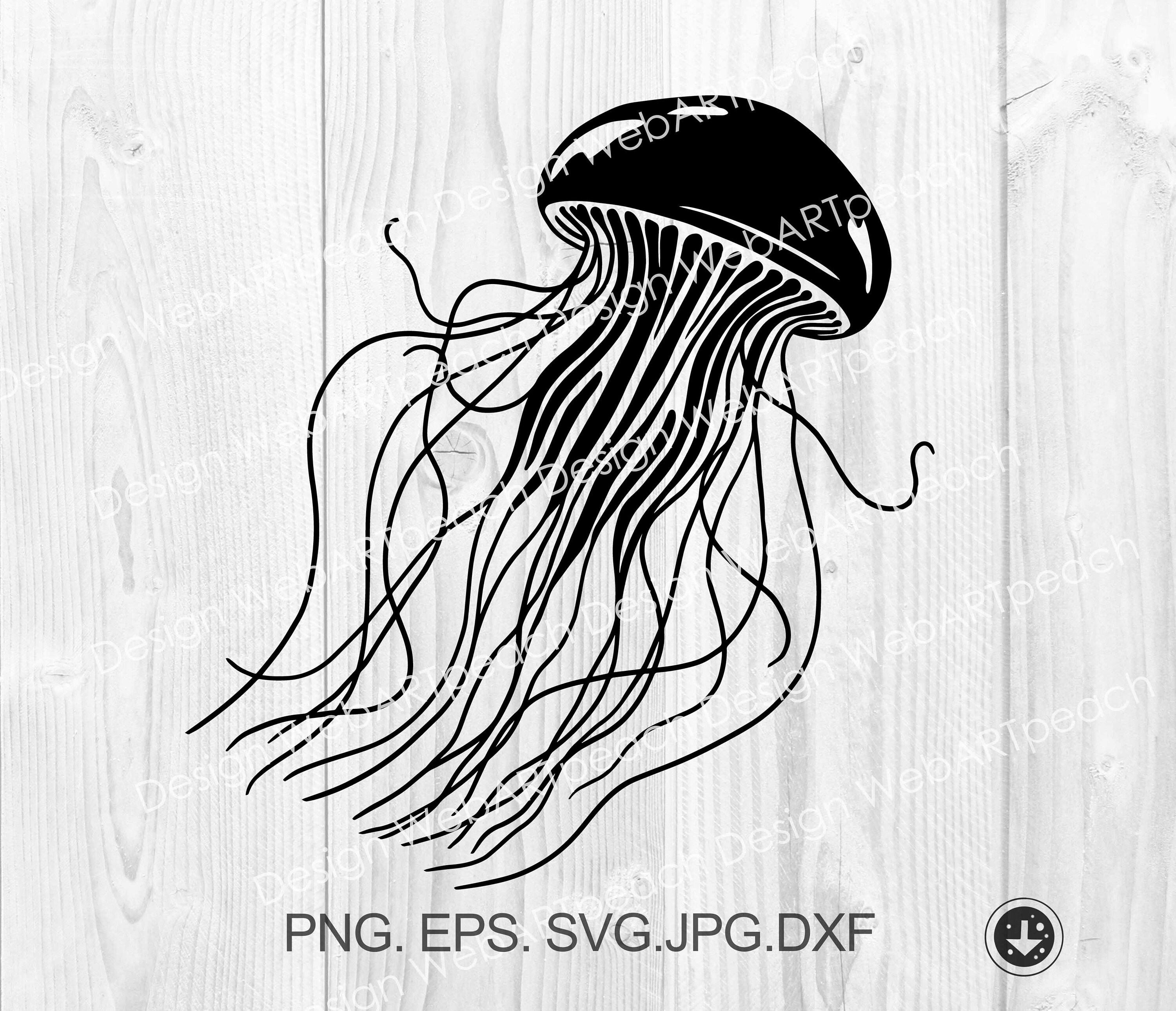 Qualle svg png dxf marine svg Cricut Qualle Plotterdatei für - Etsy ...