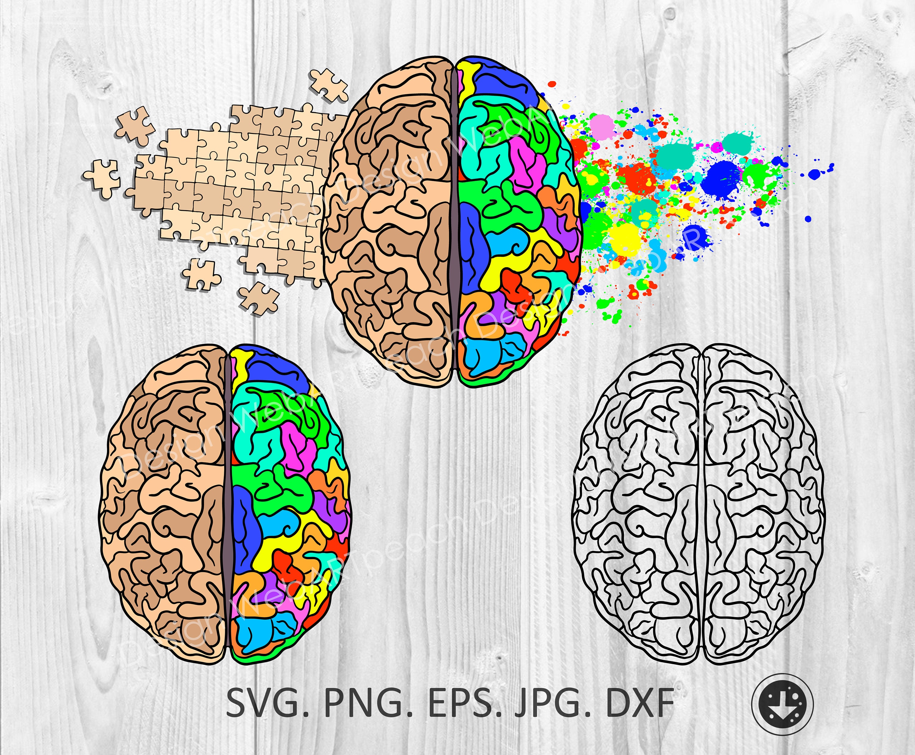 Brain Hemispheres Creativity