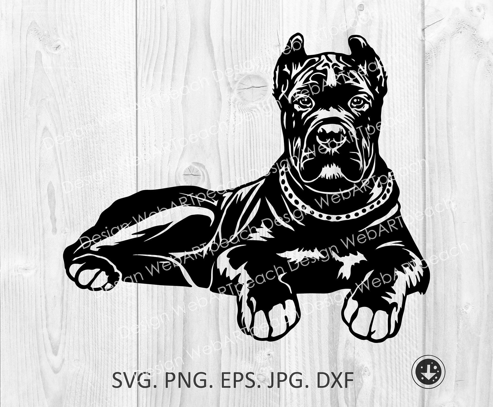 Black Cane Corso Puppies