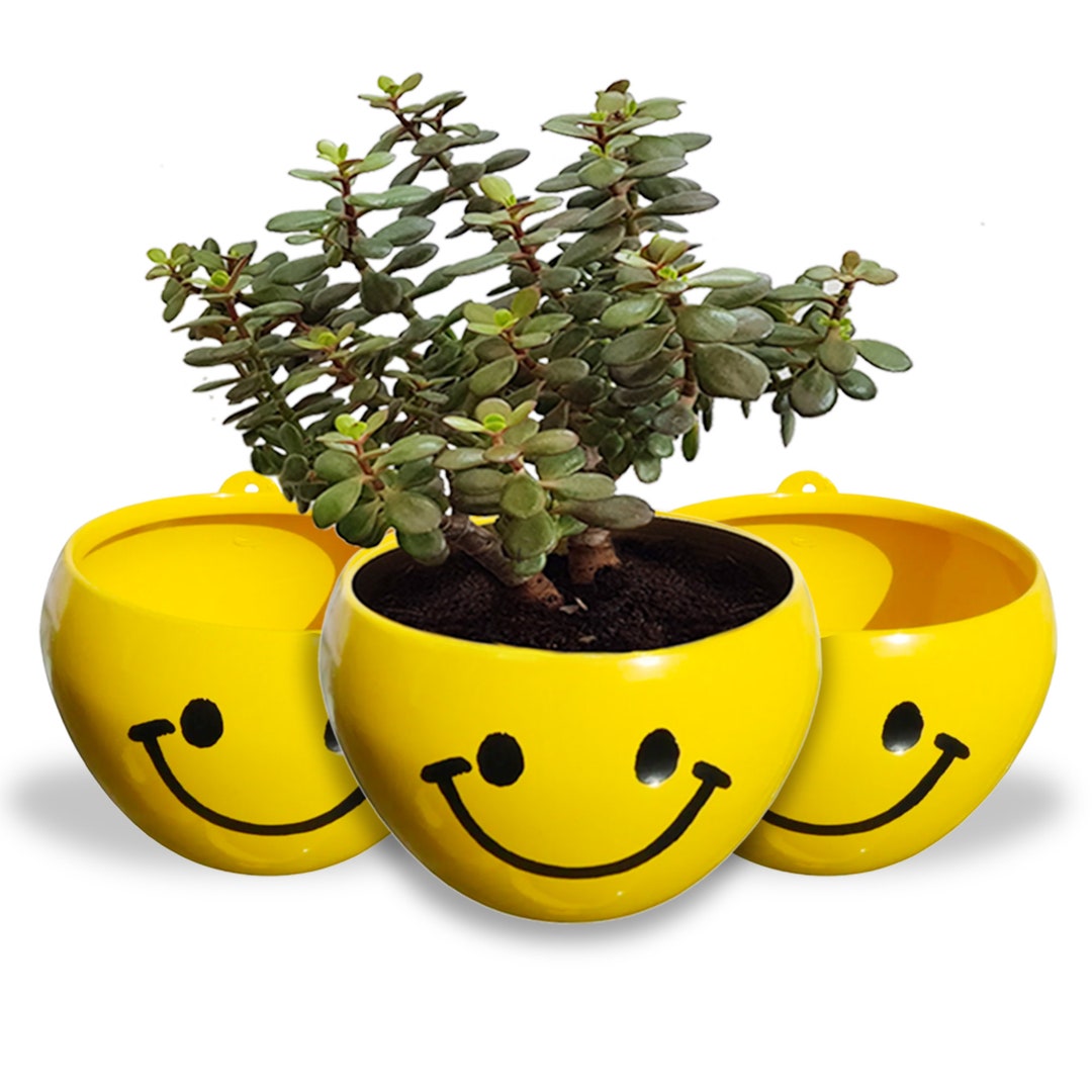 Emoji Smiley Face Plant Pot, Indoor Metal Flower Vase - Etsy