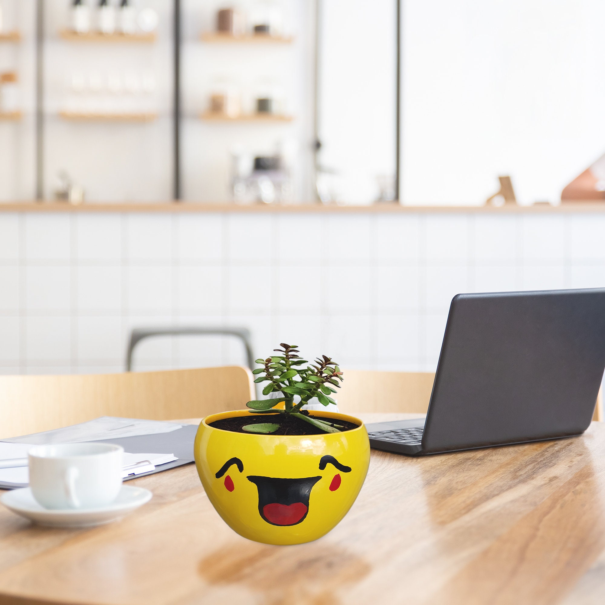 Succulent Plant Pot Emoji With Drainage Hole Anti-rust Iron - Etsy