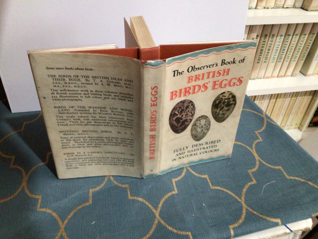 Observers Book of British Birds Eggs 1st Edition 1954 - Etsy UK