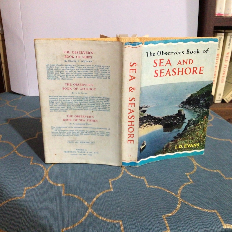 Seashore Life and Pattern - Etsy UK