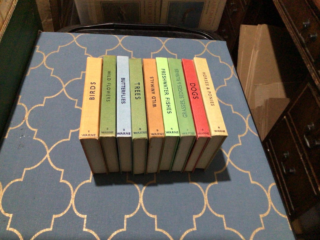 Observers Books Shabby Chic Numbers 1 to 9 - Etsy