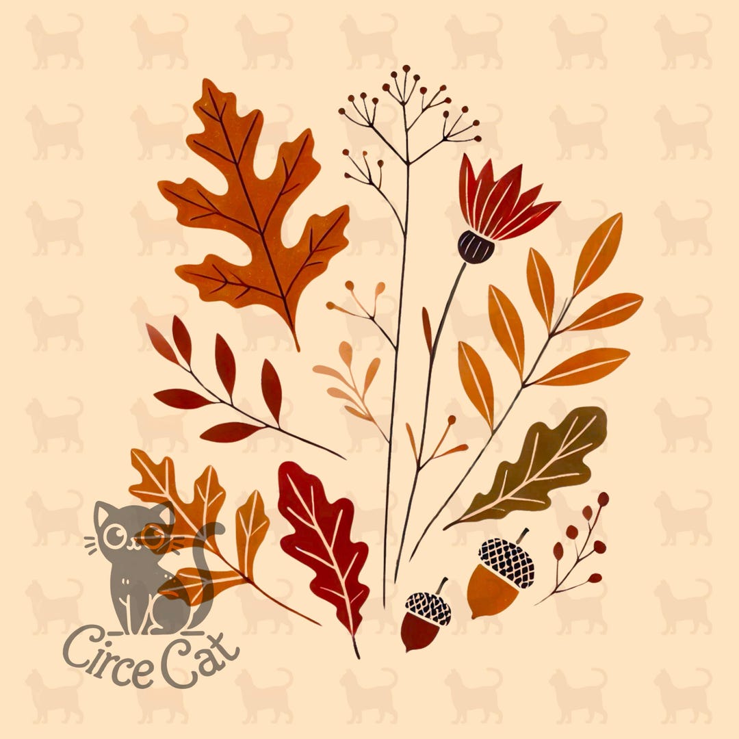 Fall PNG, Fall Leaves PNG, Boho, Nature, Fall Scene, Thanksgiving PNG ...