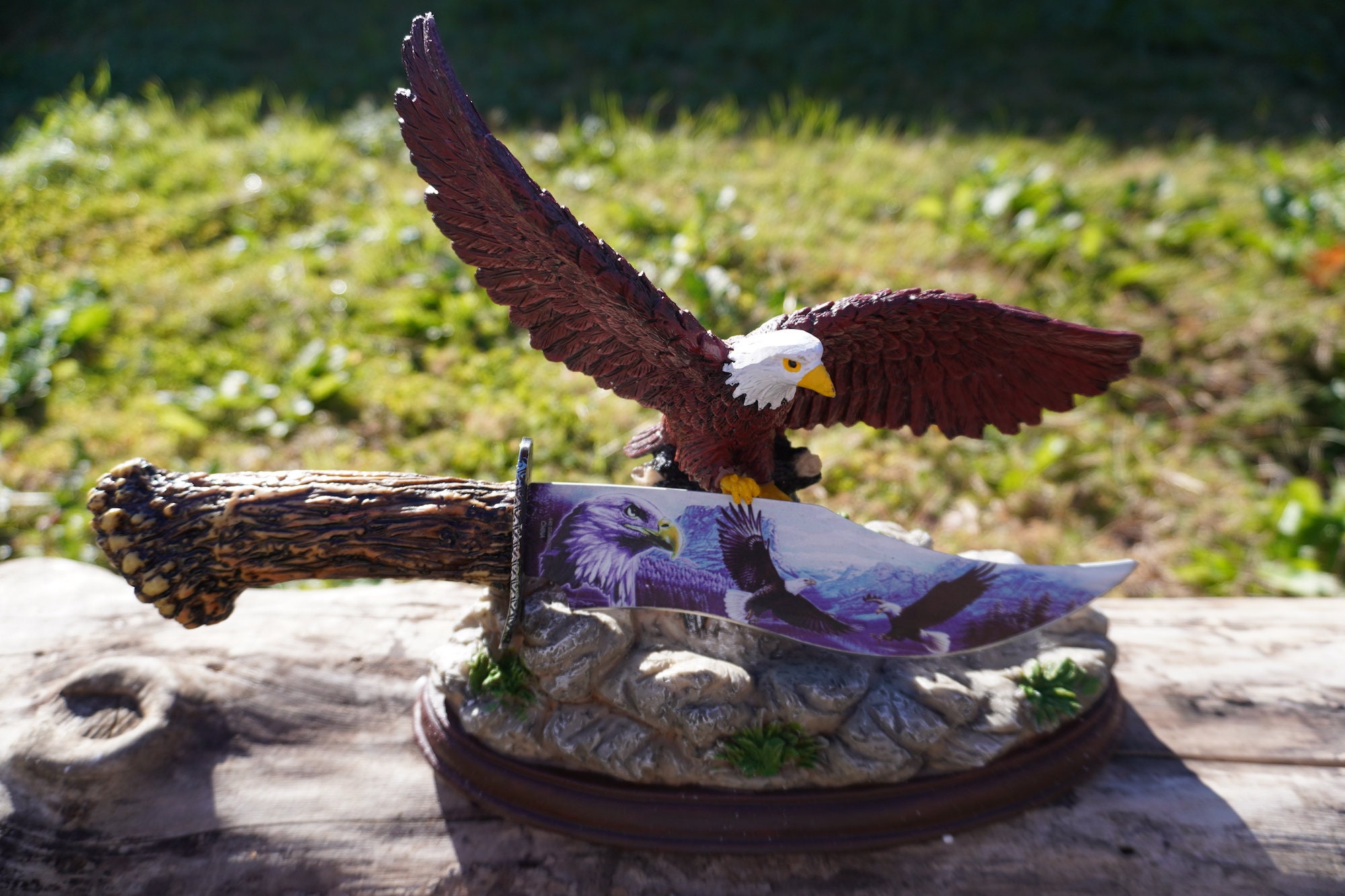 12 Inch Carved and Engraved Eagle Themed Blade, Unique Decorative Bowie ...