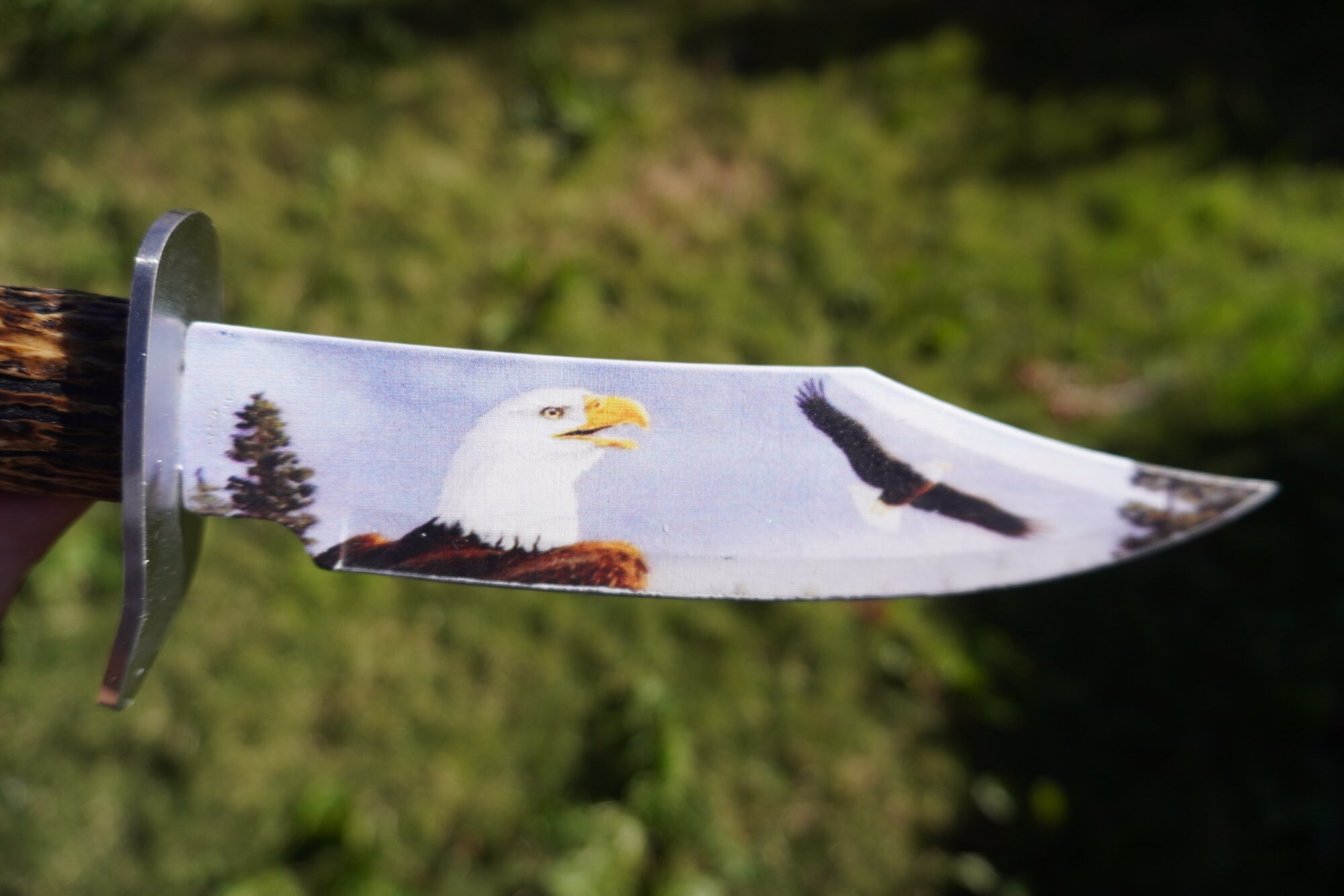 12 Inch Carved and Engraved Eagle Themed Knife, Unique Decorative Bowie Knife With Carved Antler ...