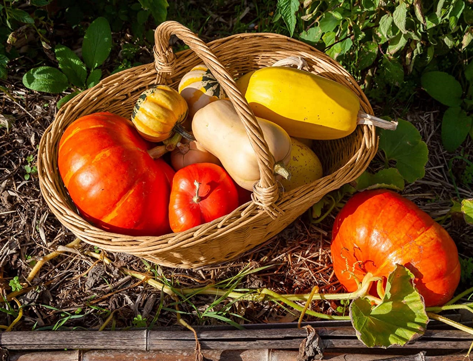Traditional Heritage Trug 58cm Willow Gardening Basket for - Etsy UK