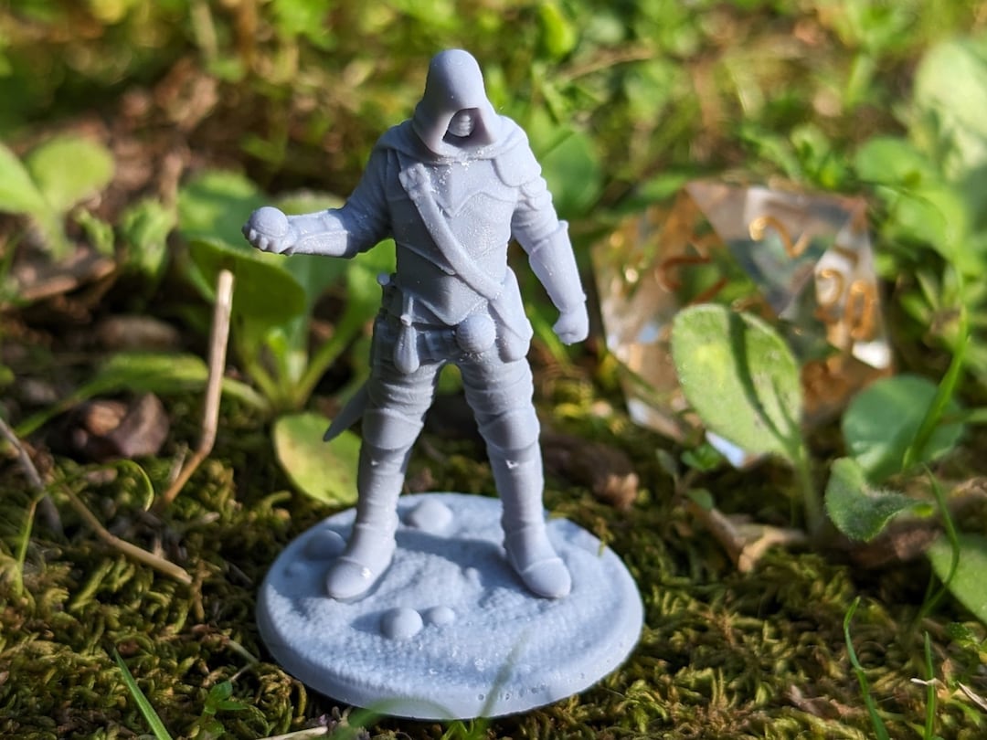 Arcanic Trainer 3d Printed Miniature for Painting, Tabletop Game, Dnd ...