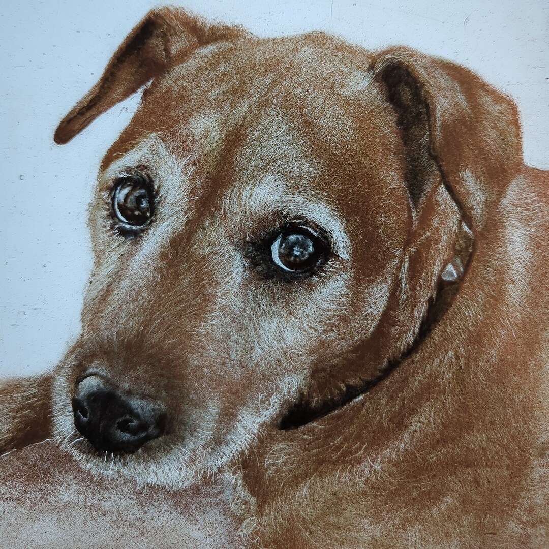 Pet Loss Ash Dog or Cat Portrait Free-hand Painted Stained Glass Art ...