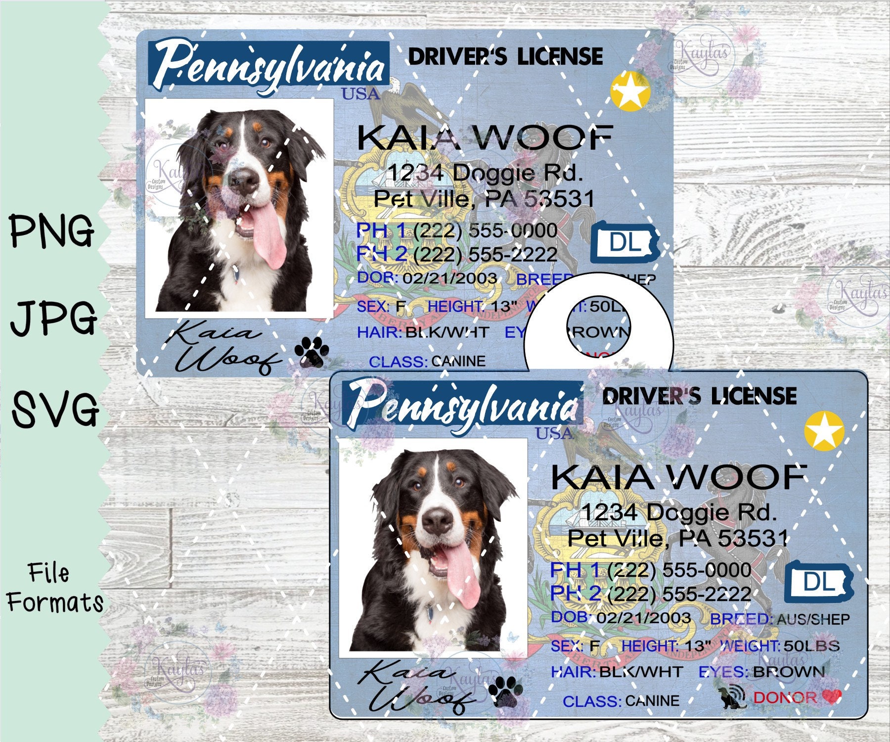 Do You Need A License To Breed Dogs In Pa