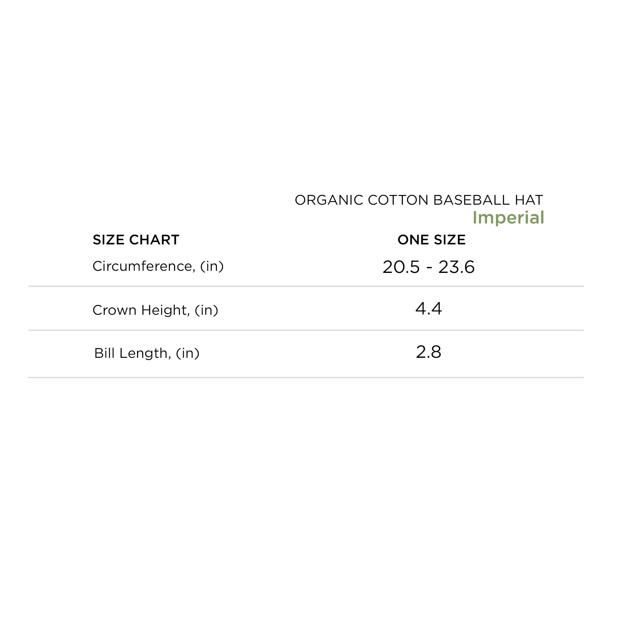 2021 C8 Corvette Ball Cap, 21 C8 Corvette Coupe Lover Dad Hat, Corvette ...