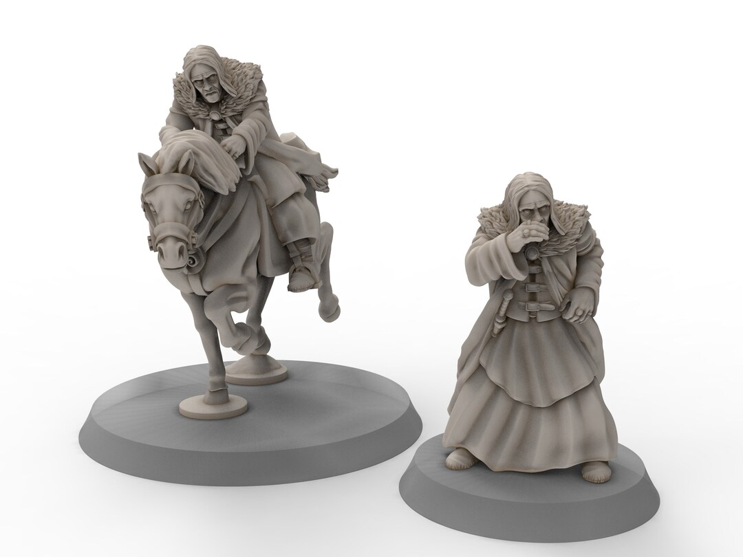 Rohan King Adviser, Kingdom of Rohan, the Horse-lords, Rider of the ...