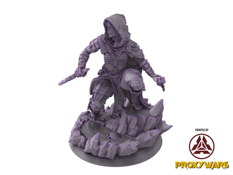 The Gates of Despair - Hero - Gormon, Twilight Sentinel (25 Mm), Quest ...