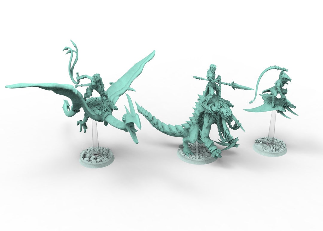 Dark City Taskmaster Dark Eldar Drow Beast Master - Etsy Australia