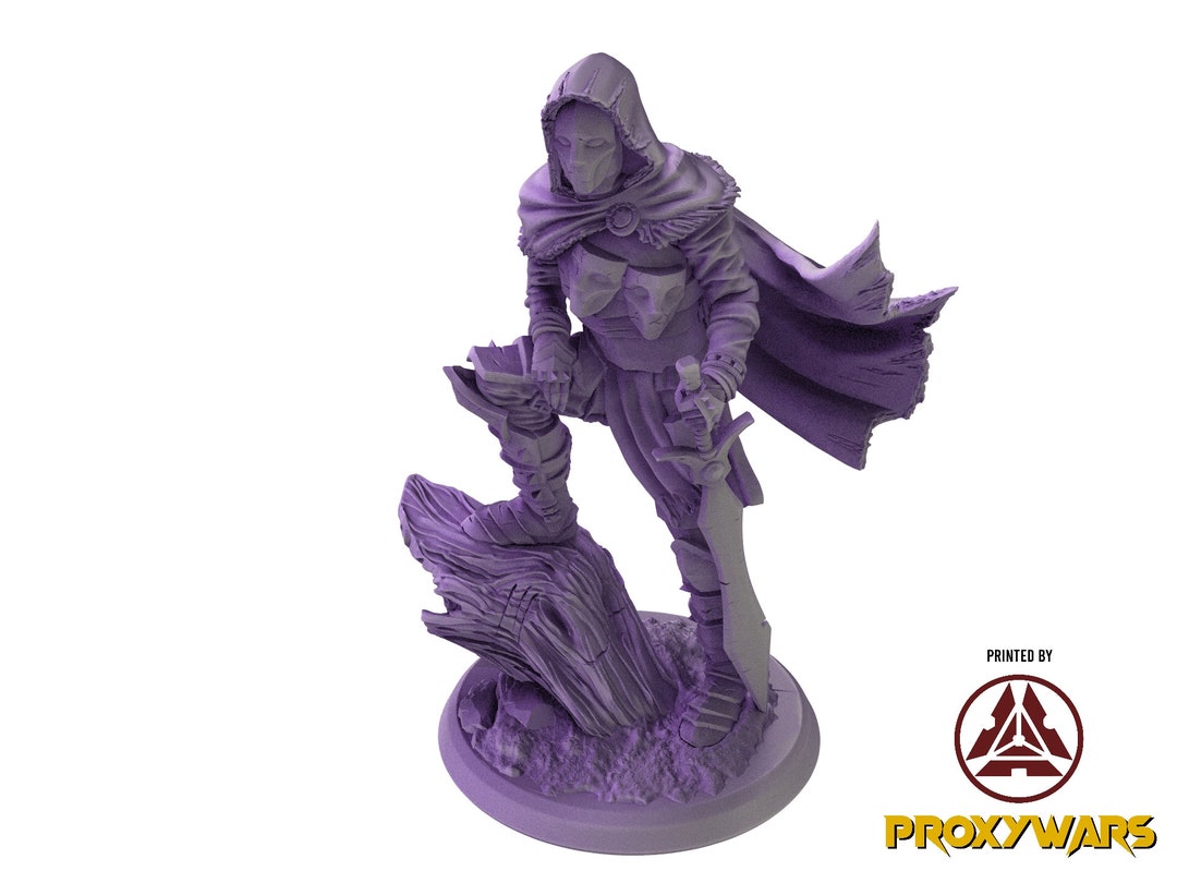 Welcome Back Hero High Order Assassin medium 25 Mm, Quest for Glory ...