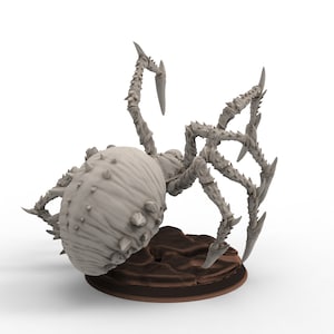 Halfmen - Samuel the Brave and the Spider Old Gnome Halfling, Middle ...