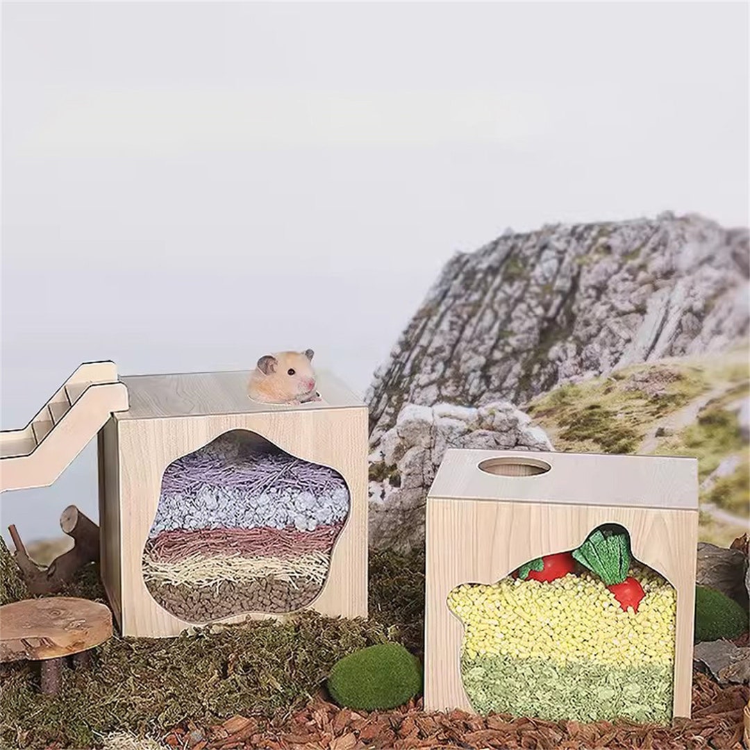 Hamsters Excavate Box Hideout,small Cage, Pet House, Hamster Supplies ...
