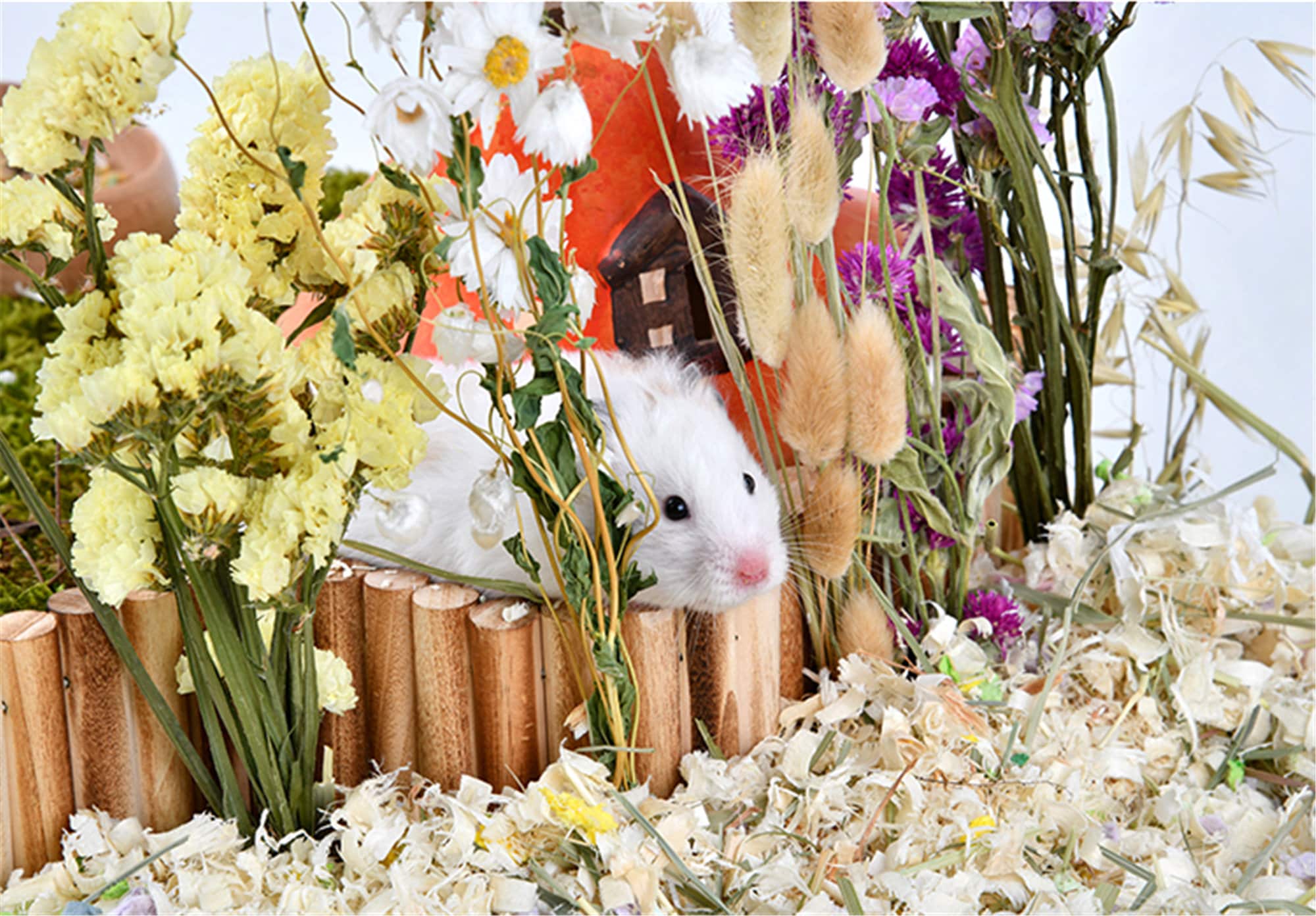 Hamsters With Flowers