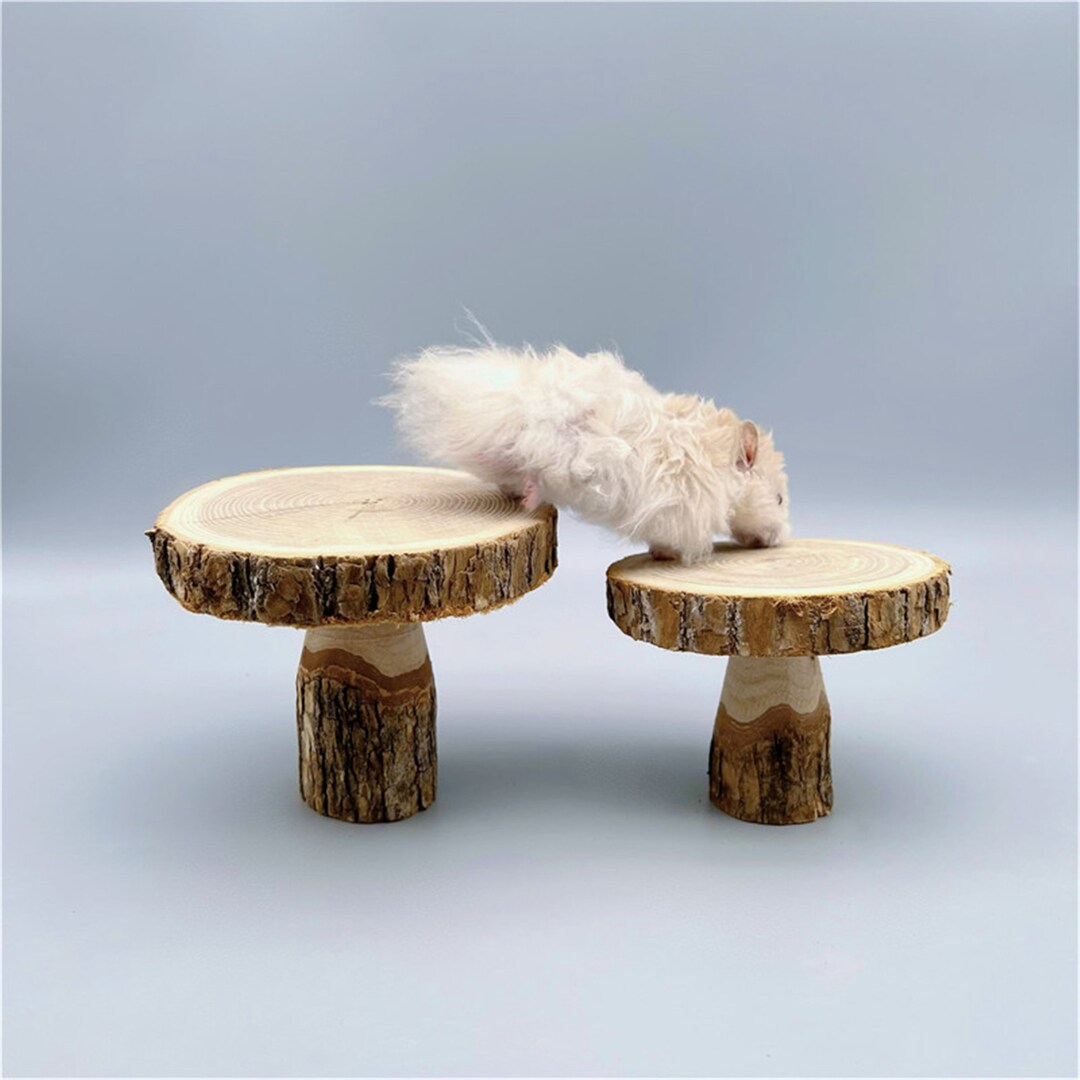 Wooden Platform Hamster Ladder Hamster Wooden Hideout Small Pet ...