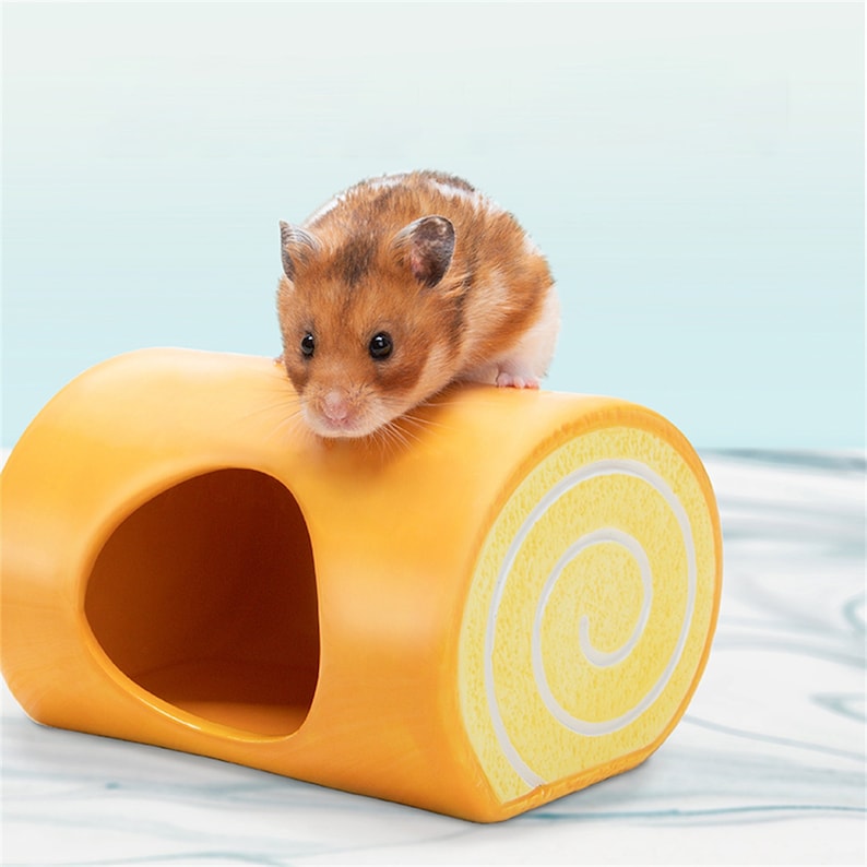 Cute Swiss Roll Shaped Hamster Summer Ceramics Hideout Small - Etsy