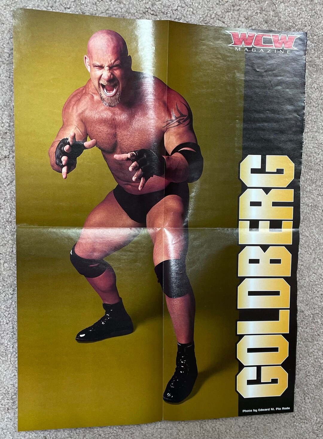 WCW Magazine Kronik Goldberg Poster - Etsy