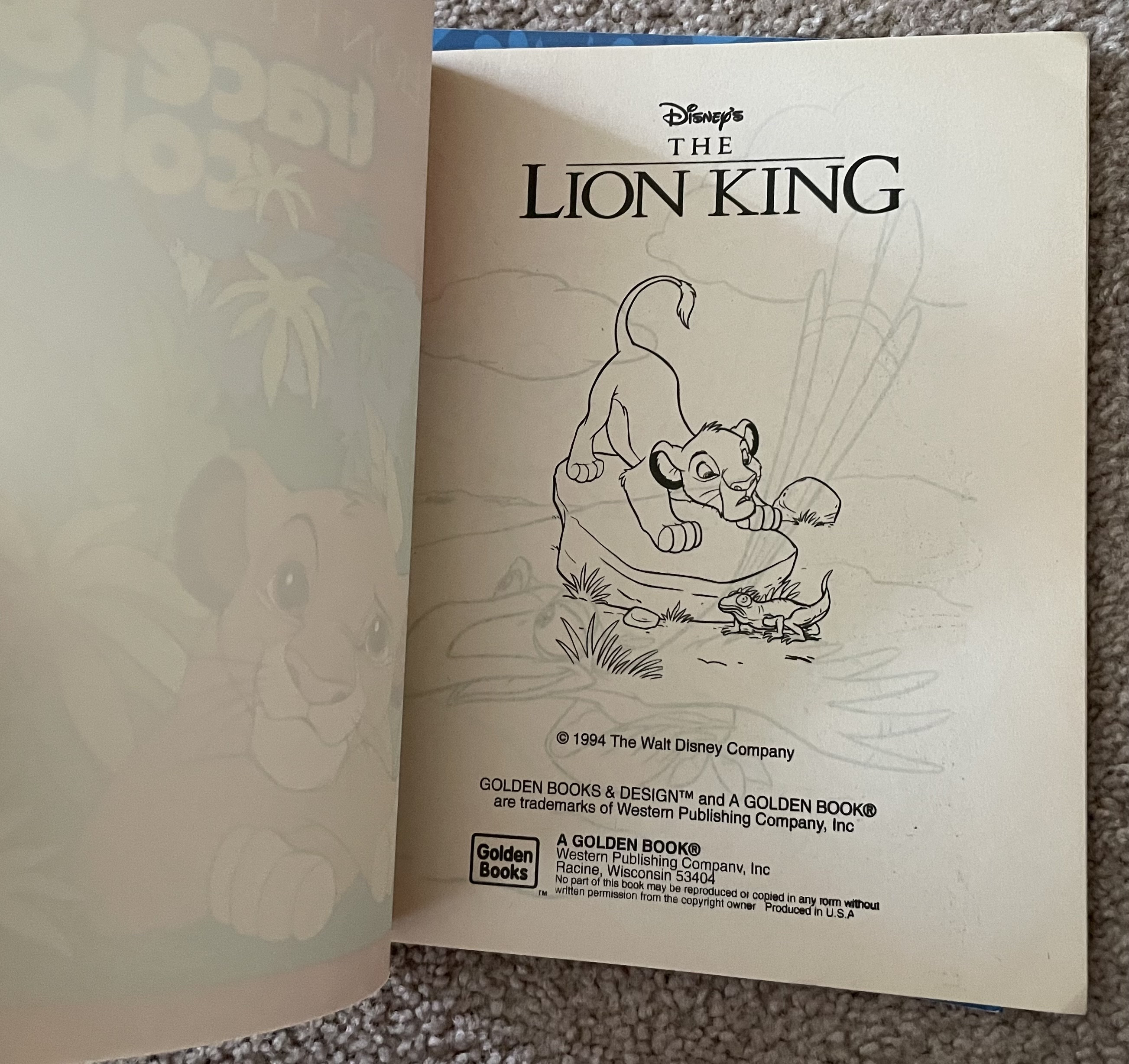 Disney's the Lion King Paint N Marker and Trace & Color Books - 1994 ...