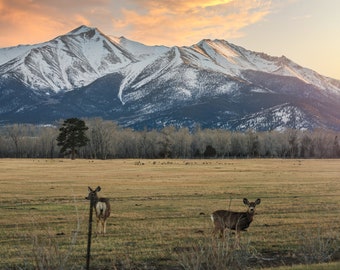 Mt Princeton Art - Etsy