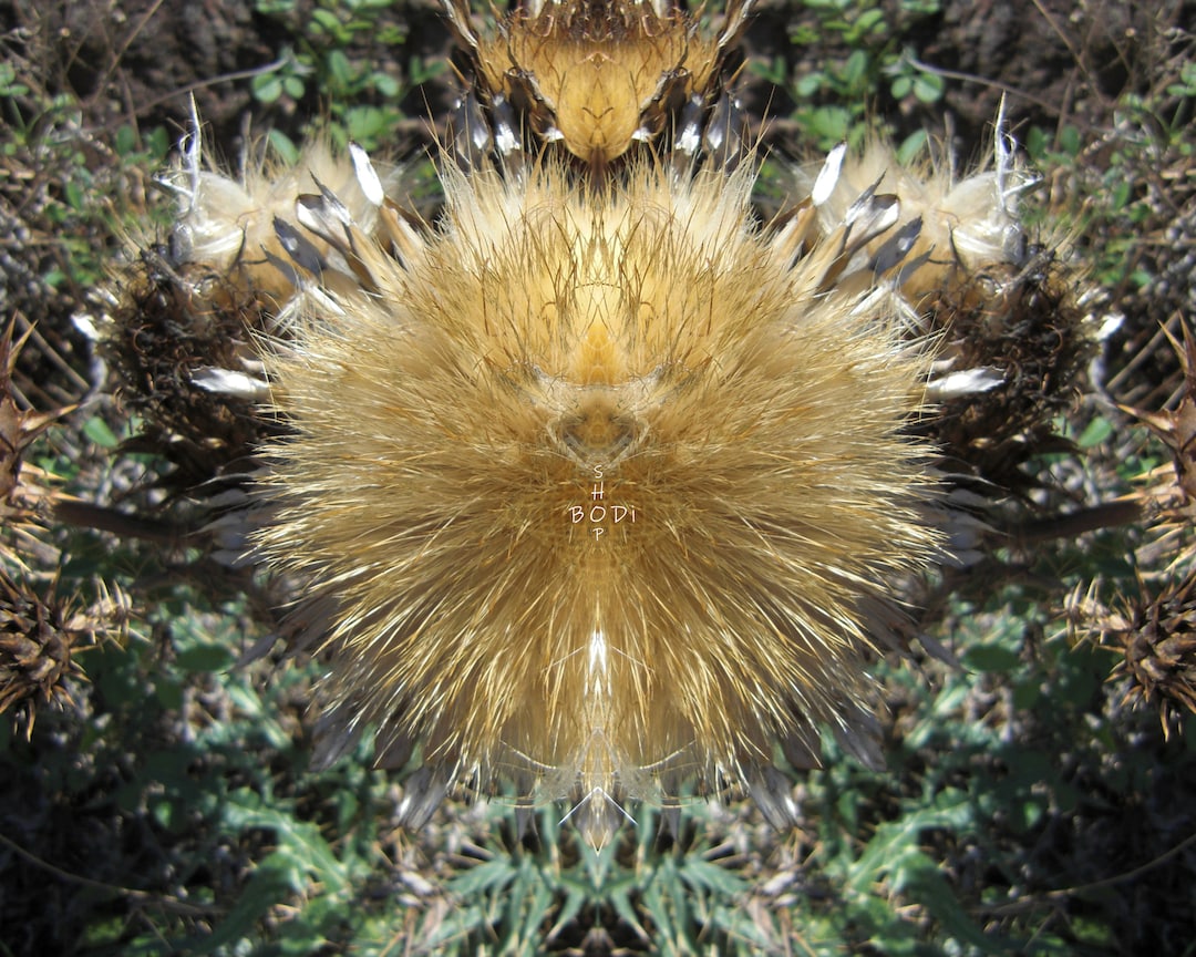 Bodi Nature Spirits Plant Spirits - Etsy