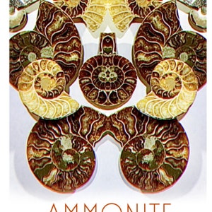 Mineral Magic Oracle Deck - Etsy