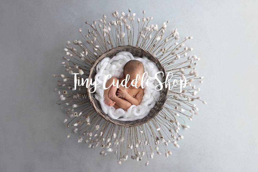 Newborn Digital Background, Newborn Digital Backdrop, Newborn ...