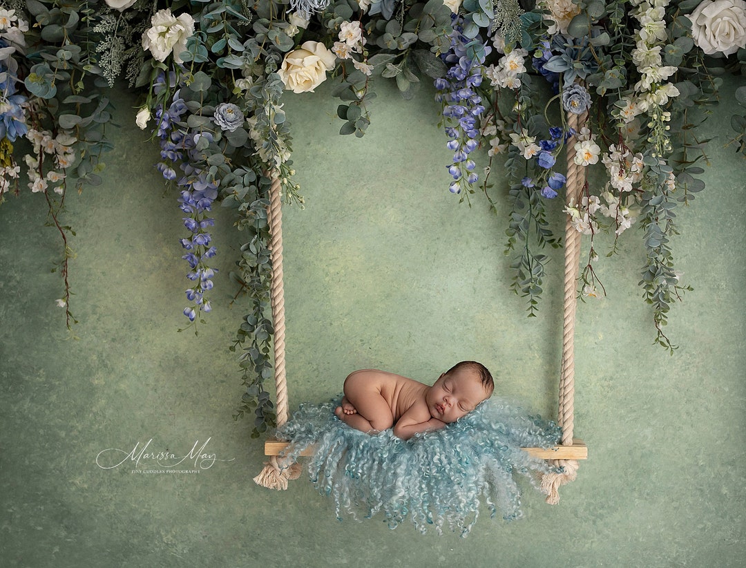 Newborn Digital Swing Background, Newborn Digital Backdrop, Newborn ...