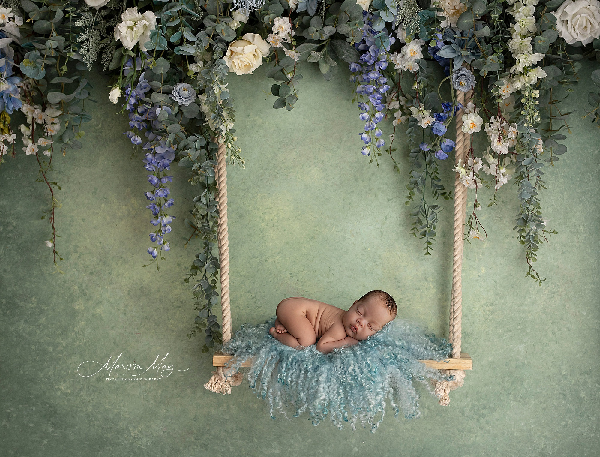 Newborn Digital Swing Background, Newborn Digital Backdrop, Newborn ...