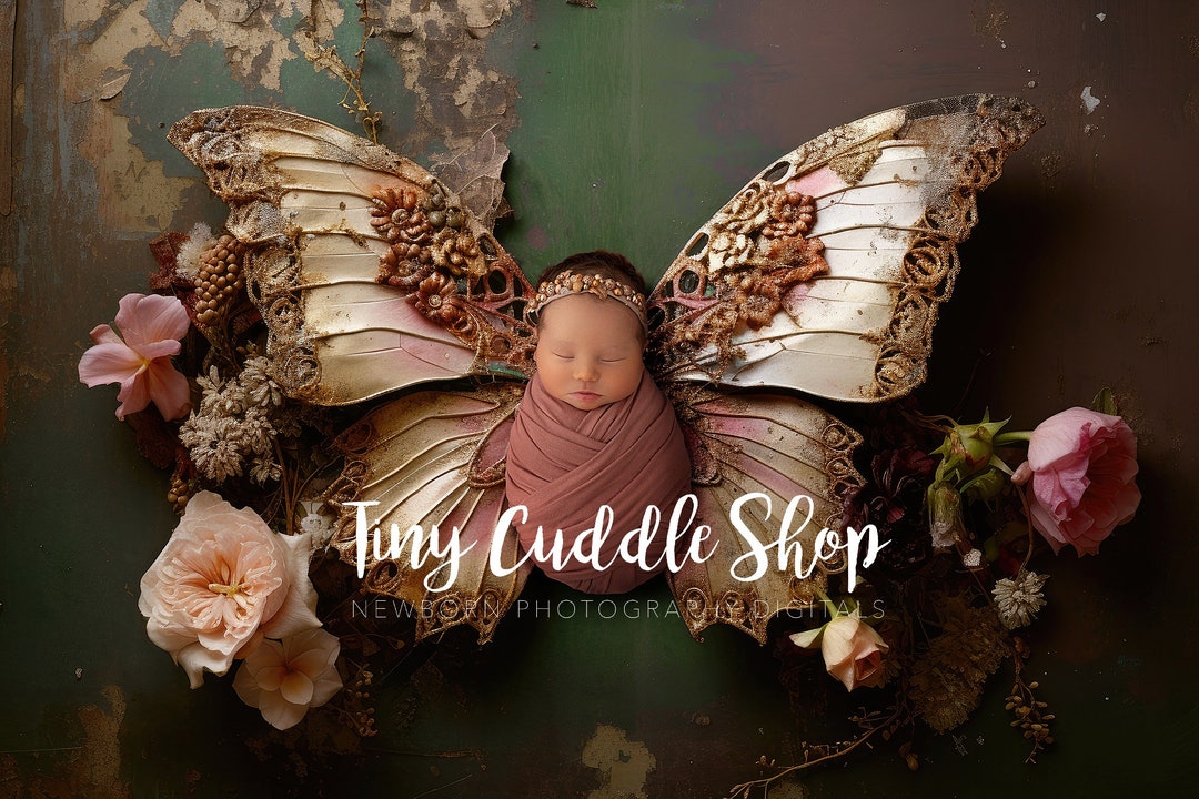 Newborn Digital Backdrop, Butterfly Backdrop Overlays, Digital Backdrop ...