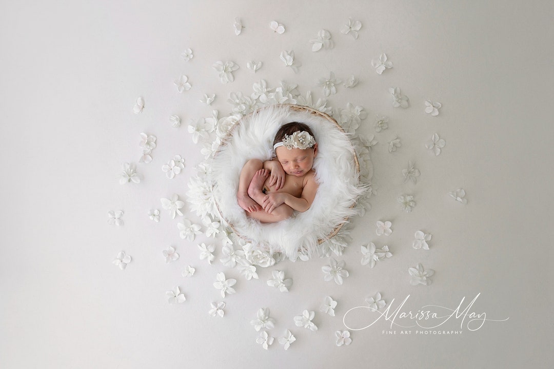 Newborn Digital Background, Newborn Digital Backdrop, Newborn ...