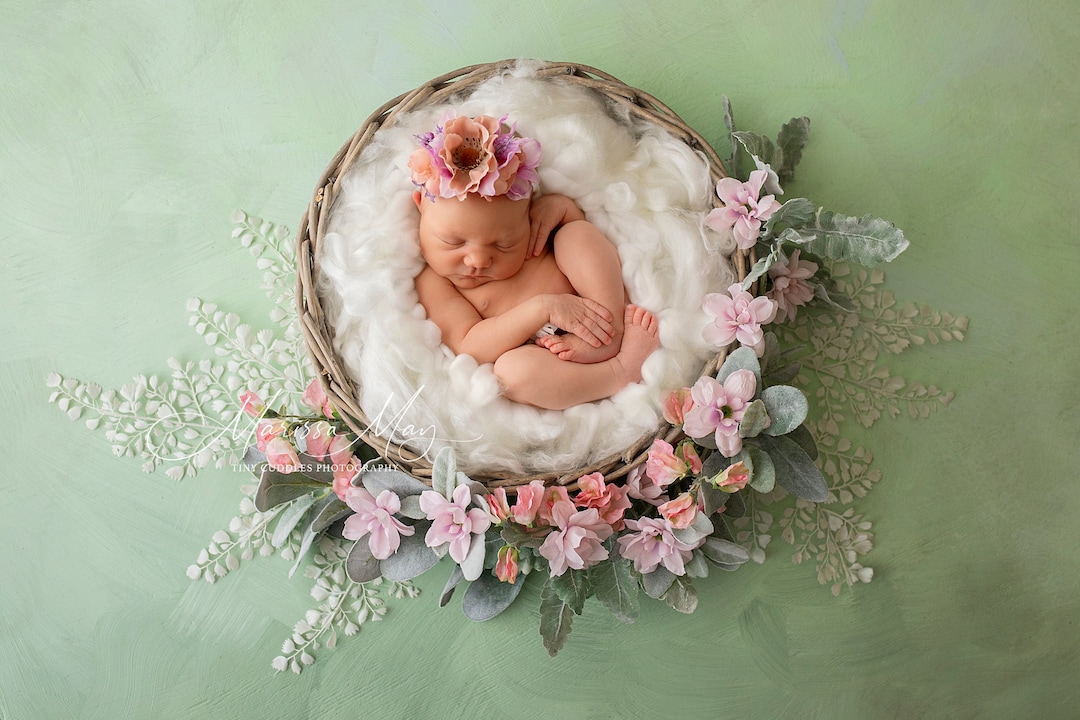 Newborn Digital Background, Newborn Digital Backdrop, Newborn ...