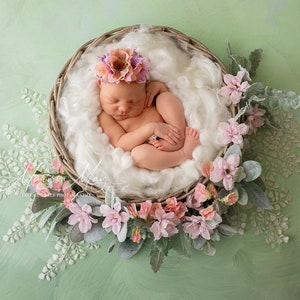 Newborn Digital Background, Newborn Digital Backdrop, Newborn ...
