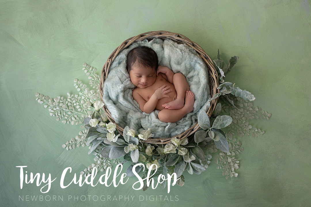 Newborn Digital Background, Newborn Digital Backdrop, Newborn ...