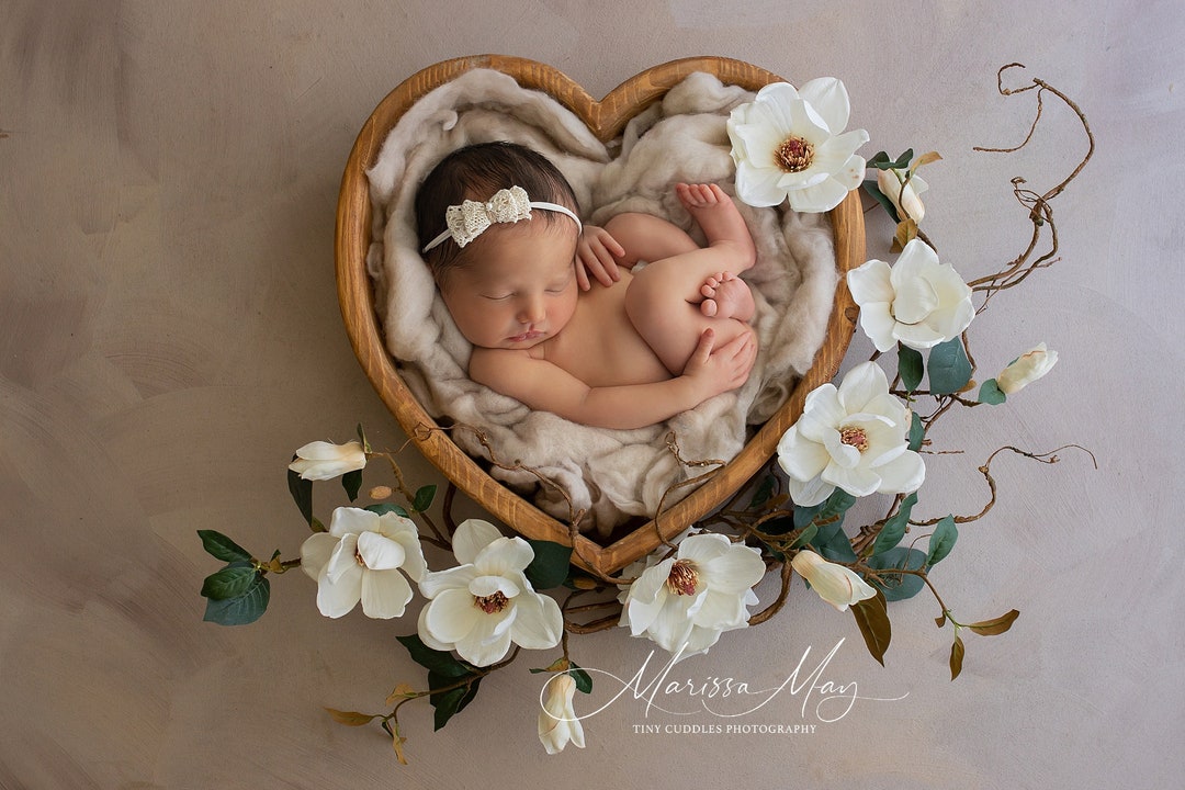 Newborn Digital Background, Newborn Digital Backdrop, Magnolia Floral ...