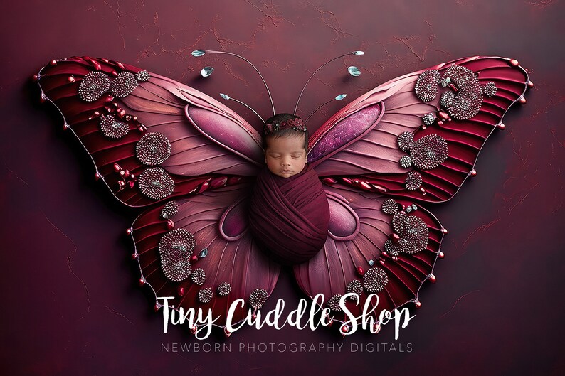 Newborn Digital Backdrop, Butterfly Backdrop Overlays, Digital Backdrop ...