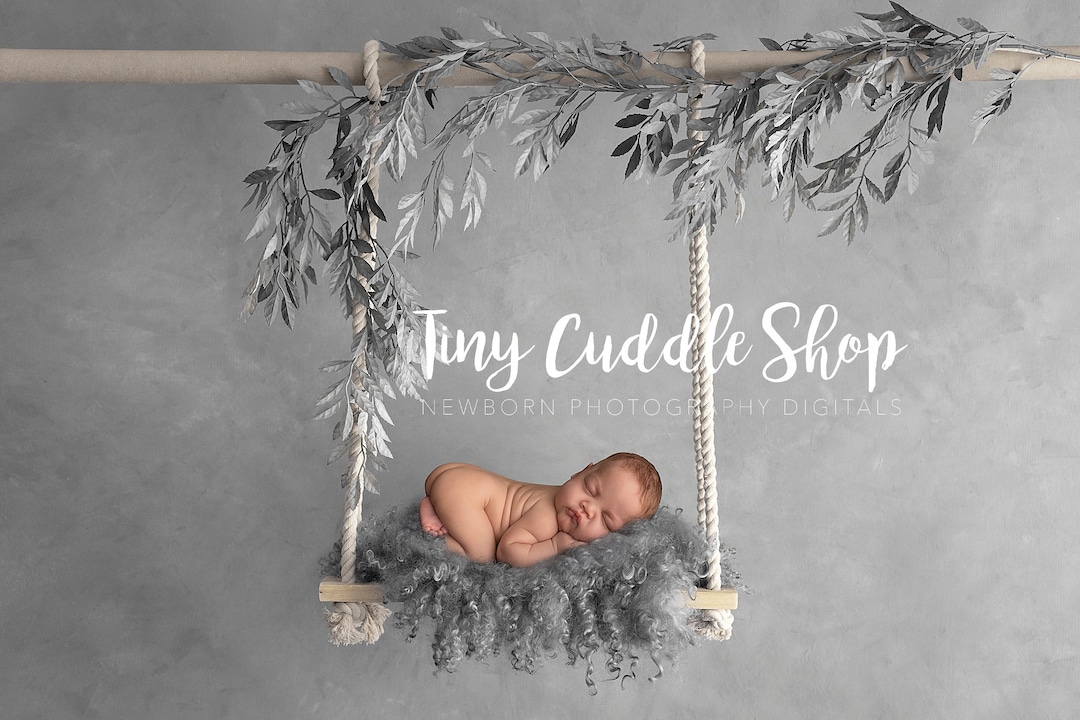 Newborn Digital Swing Background, Newborn Digital Backdrop, Newborn ...
