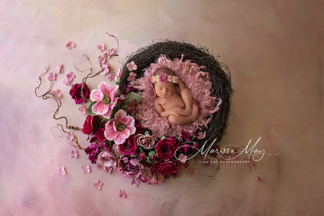 Newborn Digital Background, Newborn Digital Backdrop, Newborn ...