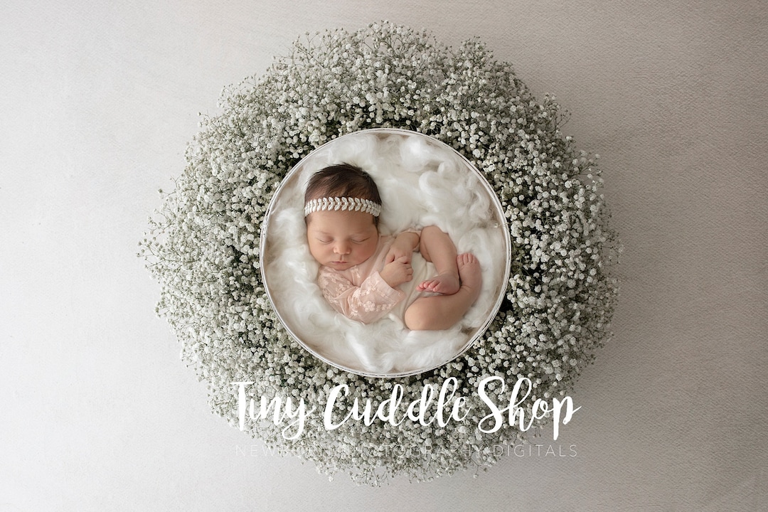 Newborn Digital Background, Newborn Digital Backdrop, Newborn ...